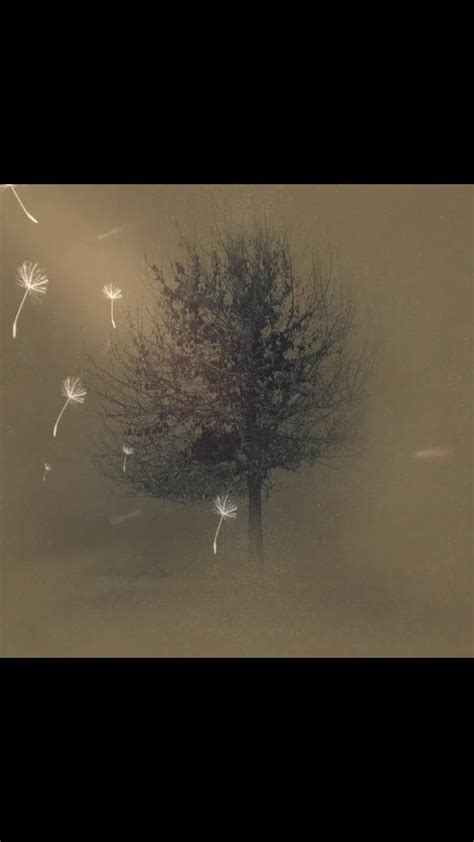 کلیپ آهنگ بی گناه از علیرضا قربانی