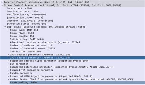 Sctp Multihoming Nick Vs Networking