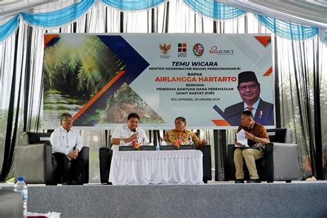 Akselerasi Program Peremajaan Sawit Rakyat dan Penyaluran KUR, Menko Airlangga Dengar Langsung ...