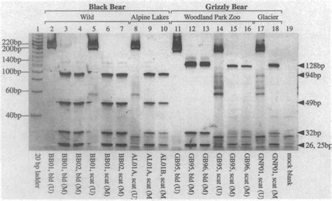 dna restriction fragment length polymorphisms rflps from matched