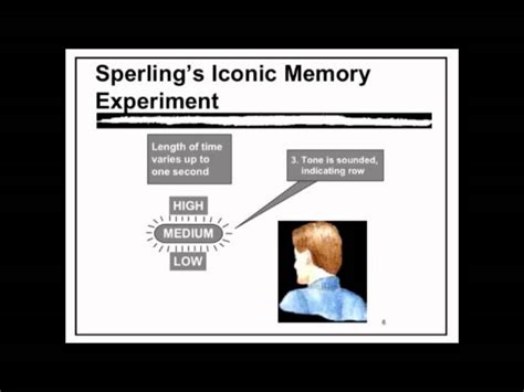 Iconic Memory Test