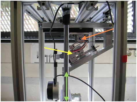 Loading Device Red Arrow—position Of The Scaphoid During The Testing Download Scientific