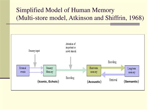 Ppt Information Encoding And Modality Powerpoint Presentation Free