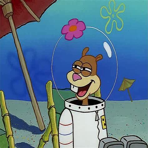 Create Meme Sandy From Spongebob Sponge Bob Square Pants Sandy Cheeks Pictures Meme