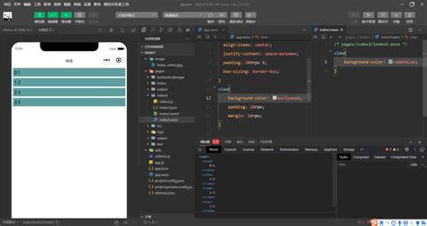 小程序 模板与配置：wxss 模板样式 小程序组件用app wxss样式 csdn博客