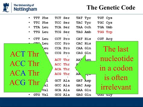 The Genetic Code Ppt Video Online Download