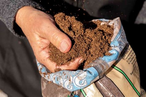 Methods For Increasing Soil Acidity