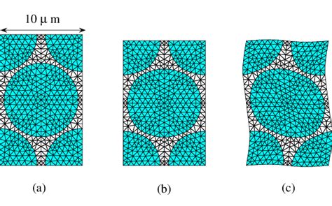 Cellular Microstructure A And Deformed Shape Of This Microstructure Download Scientific