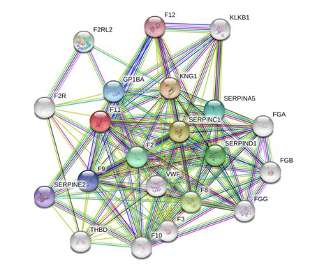 Factor Xi General Information Sino Biological