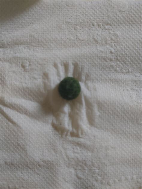 진짜 마리모 맞나요 지식in