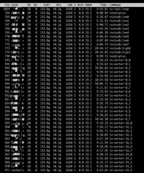 tendis 单实例部署 rss内存占用过高问题 · issue 250 · tencent tendis · github