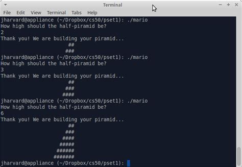pset1 is this what the mario project should look like cs50 stack