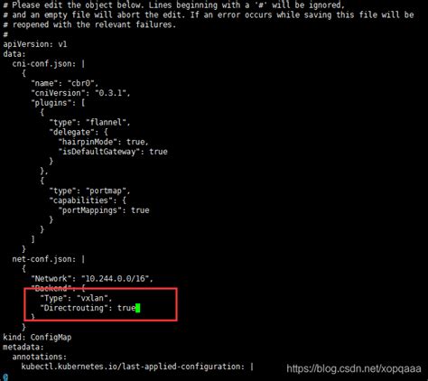 k8s系列（十六：实例）配置网络插件flannel csdn博客