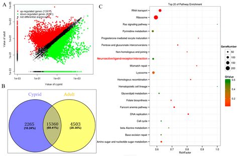 Ijms Free Full Text Comparative Transcriptomic Analysis Reveals