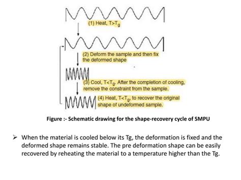 Shape Memory Polymerpptx