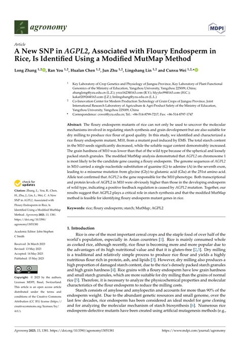 PDF A New SNP In AGPL Associated With Floury Endosperm In Rice Is Identified Using A