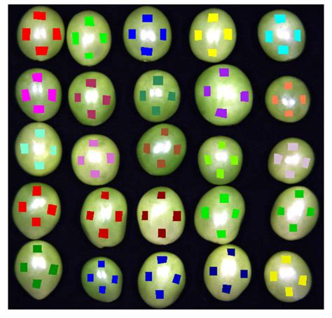 selected roi of hyperspectral images different colors represent