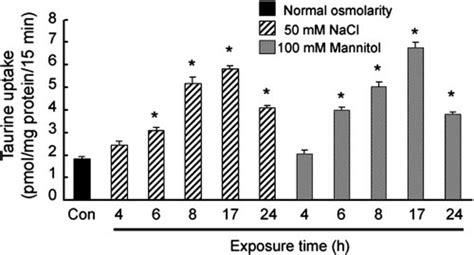 Influence Of Exposure Time To Hyperosmotic Conditions On Taurine Uptake
