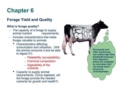 Proximate Weende System Analysis Of Feeds And Fodder Ppt
