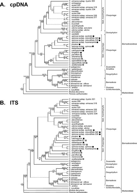 A Tree Derived From Maximum Likelihood Analysis Of Cpdna Psba Trnh