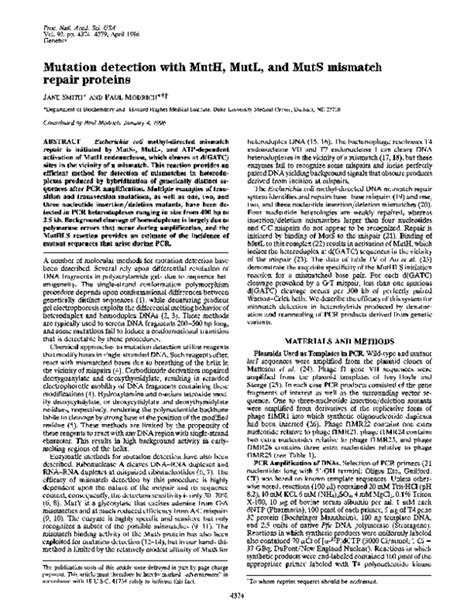 Pdf Mutation Detection With Muth Mutl And Muts Mismatch Repair Proteins