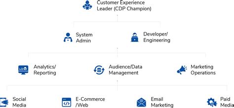 CDP Starter Kit For Life Sciences Indegene