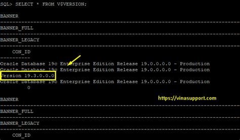 Cách Kiểm Tra Version Của Oracle Database Vinasupport
