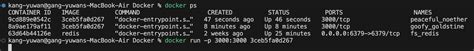 Dokcer And Kubernetes Docker