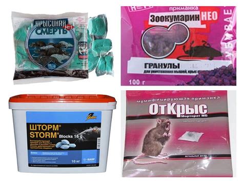 Отрава для крыс и мышей - обзор лучших ядов
