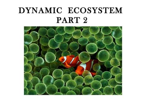 Biology Form 4 Chapter 8 Dynamic Ecosystem Part 2 Ppt