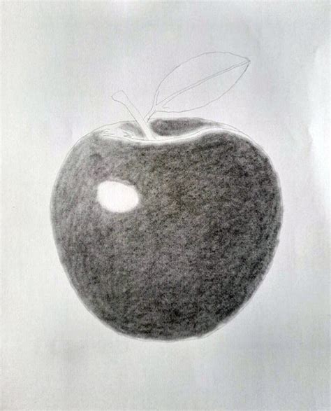 6 Simple Steps On How To Draw An Apple Realistically Muus Art