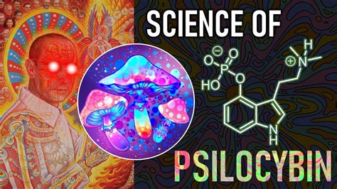 Psilocybin Synthesis In 4 Steps And How Magic Mushrooms Rewire Brain Networks Psychedelic Science