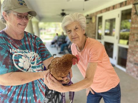 Forest Haven Nursing And Rehabilitation Center Llc Jonesboro La