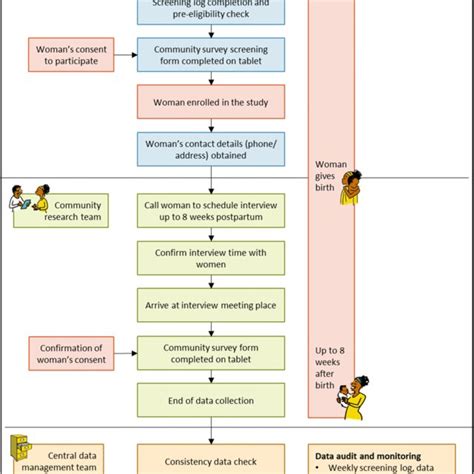 Study Procedure And Workflow For The Labor Observations All Images Download Scientific Diagram