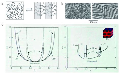 A Molecular Chain Distribution Of Ab Type Diblock Copolymer Before