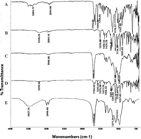 Ftir Spectra Of The Pure Drugs Ptx A And Lan B Plga C The Download Scientific Diagram