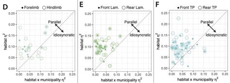 Parallel Urban Adaptation From Phenotype To Genotype In Anolis Lizards Anole Annals