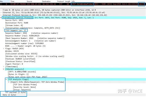 tcp analysis flags 之 tcp zerowindowprobe 知乎