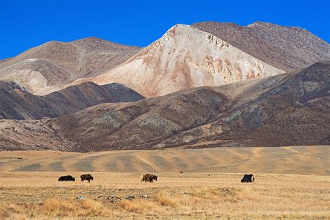 Qinghai Xizang Plateau