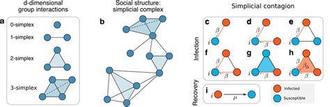 Simplicial Contagion Model Scm The Underlying Structure Of A Social Download Scientific