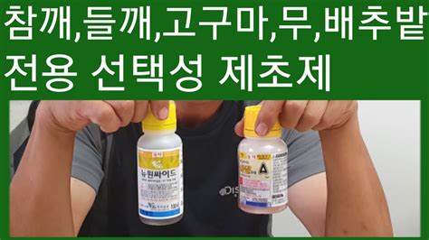 감자고구마들깨참깨 밭에 뿌리는 배랭이처럼 삐죽한 풀만 죽이는 제초제 당귀당근더덕도라지마늘무배추수박양파참외천궁콩파 에 적용 풀약 주말농장텃밭