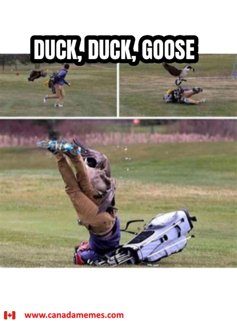 Duck Duck Goose 🇨🇦 Canada Memes