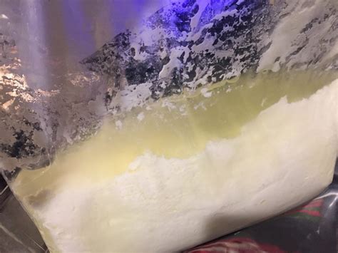 Bald Wisdom Seeking Wisdom And Fun