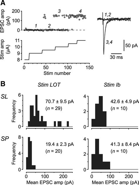 Minimal Extracellular Stimulation Shows That Unitary Lot Inputs Onto Sl Download Scientific