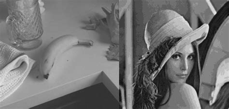 Test Images Used As Input For Subjective Evaluation Download Scientific Diagram