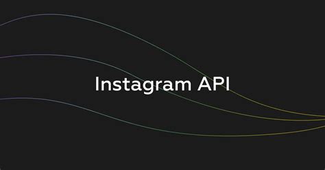 Instagram API Complete Guide To The Instagram Public API Its Features And Comparison With
