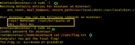 Hack The Minotaur Vm Ctf Challenge Hacking Articles
