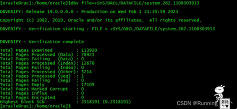 Oracle坏块修复步骤（索引坏块rebuild和表表坏块用rmandbmsrepair恢复） Csdn博客