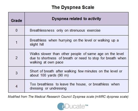 Chronic Obstructive Pulmonary Disease Copd Educate Health