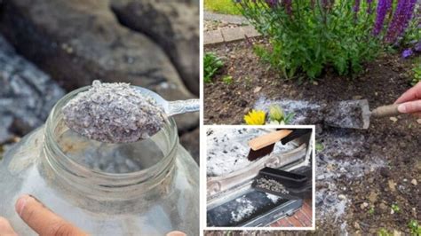 Cenere Di Legna Come Non Sprecarla